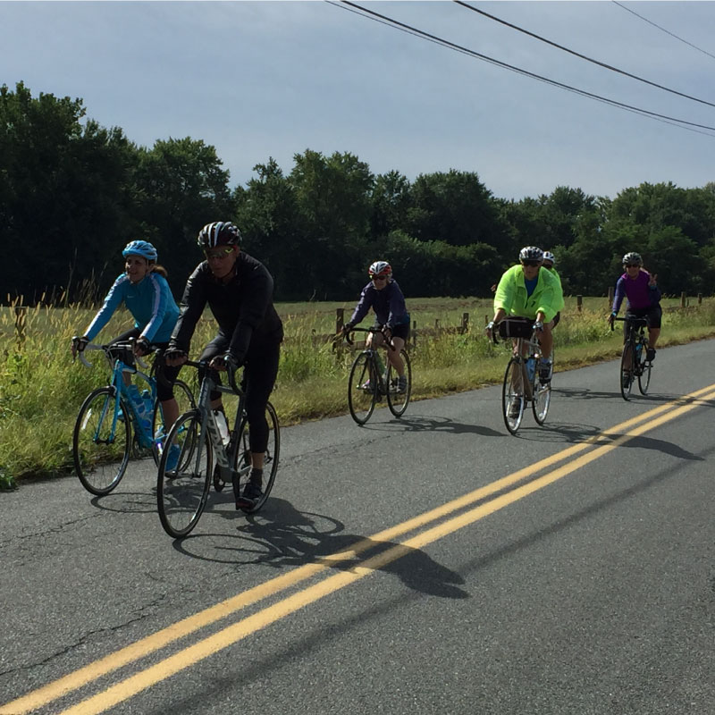 AMC Western MA: Chapter Activities